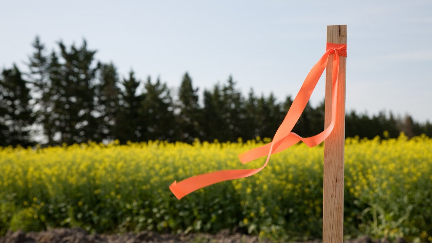 Survey Marking Tools: Paint, Stakes, Lath, and Flagging Explained